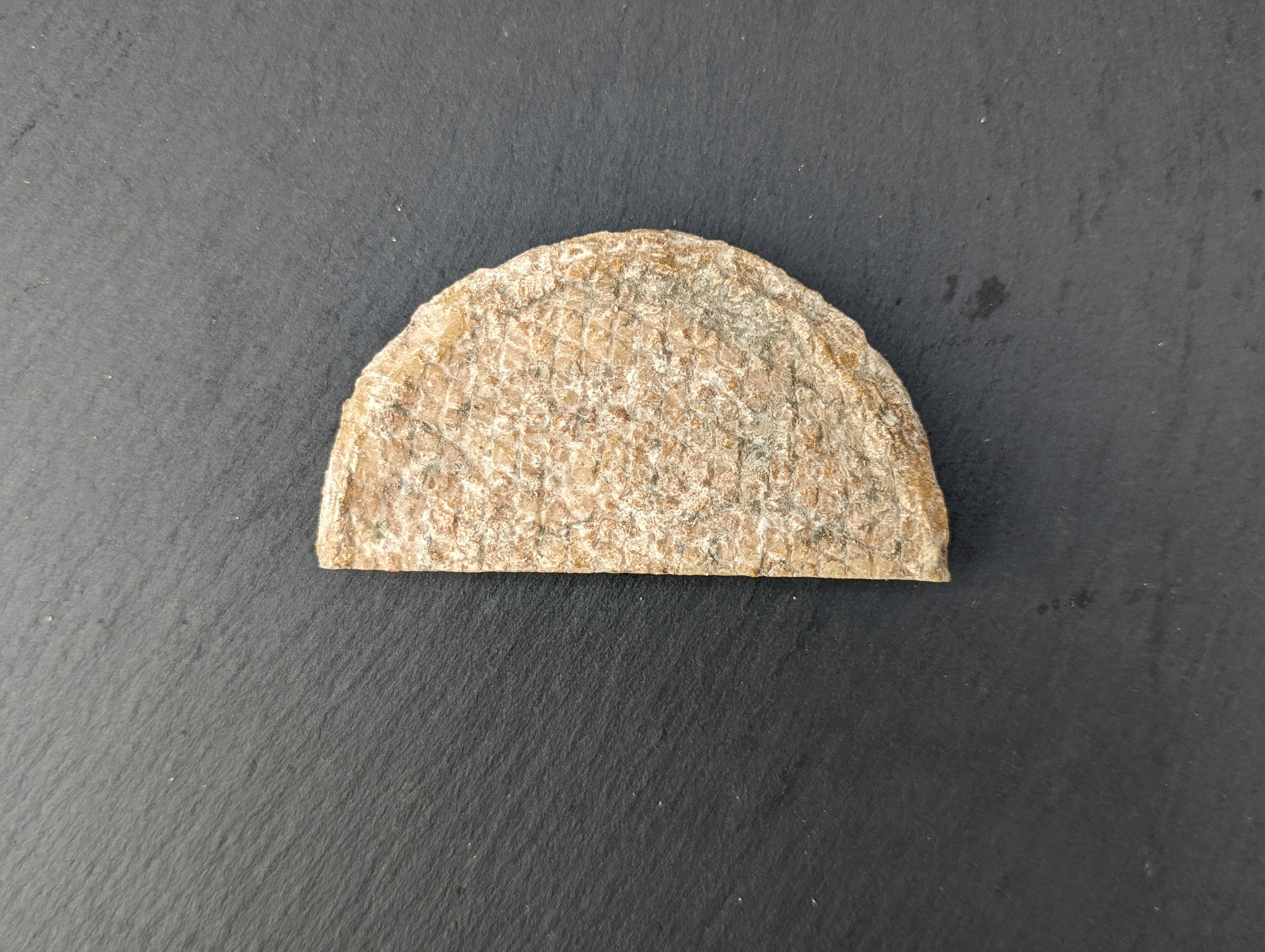 Heyshott Half Moon - Available from June – Slow Grown Farm
